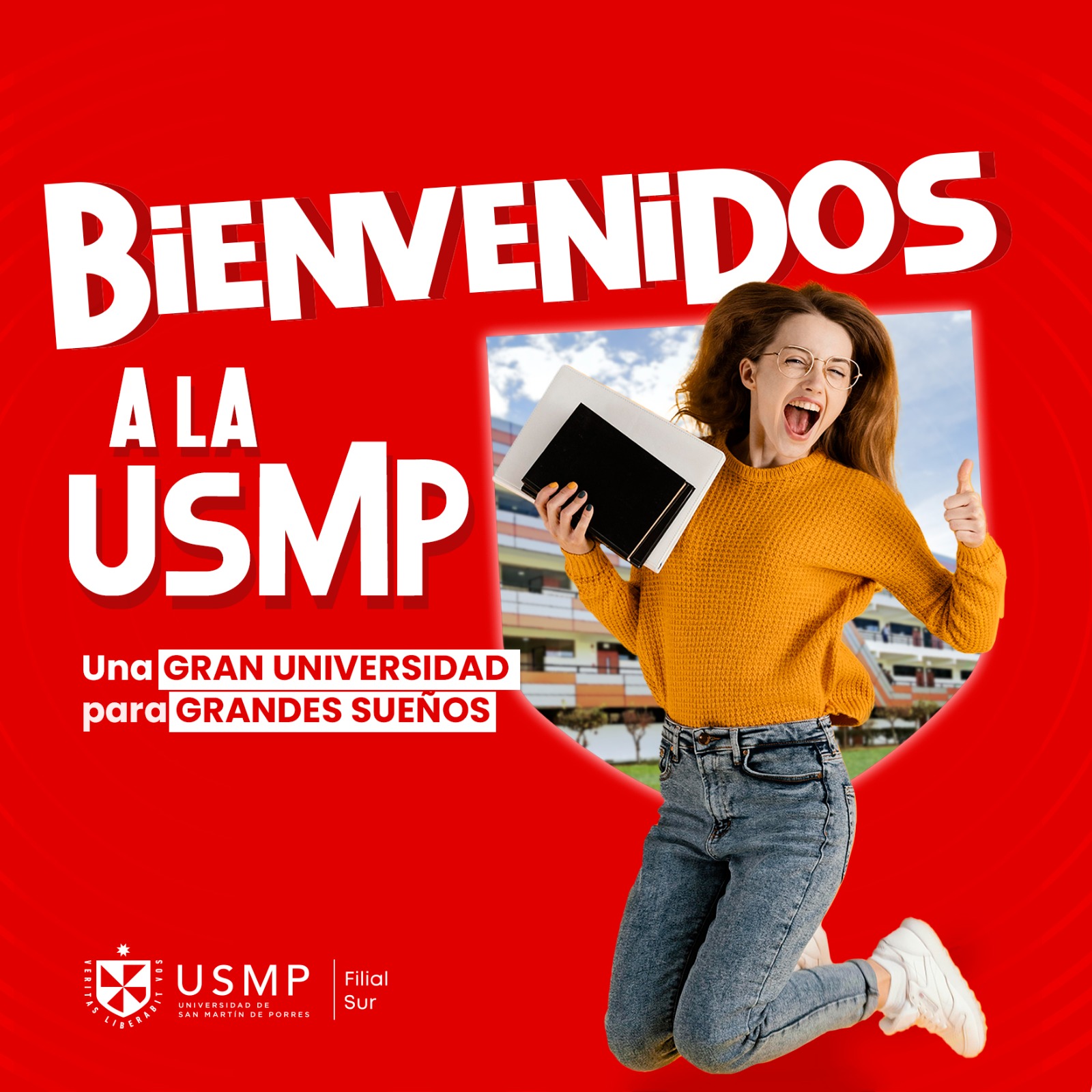 Inicio » Universidad de San Martín de Porres | Filial Sur